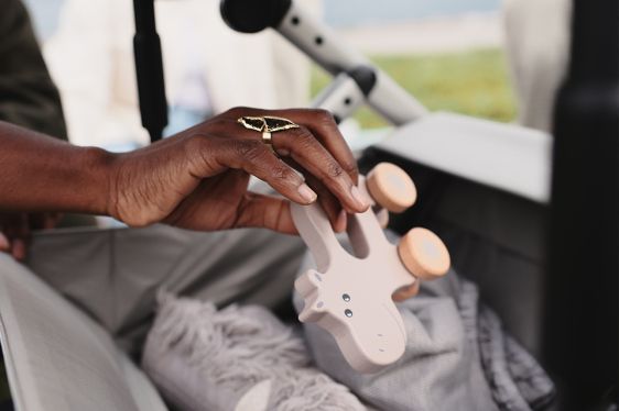 How to choose an online baby stroller store?